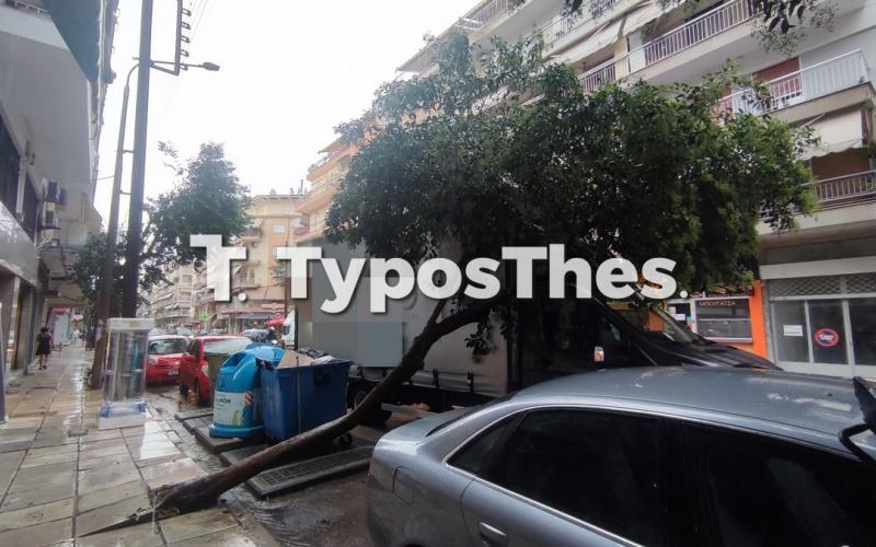 ΠΡΙΝ ΛΙΓΟ: Έπεσε δέντρο πάνω σε όχημα στη Θεσσαλονίκη (ΦΩΤΟ + VIDEO ...
