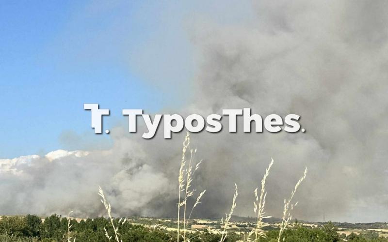 Συναγερμός για μεγάλη φωτιά στη Θεσσαλονίκη – Επιχειρούν 67 πυροσβέστες, 4 εναέρια | Typosthes