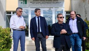 Έρχονται τα Χάμπτονς της Ελλάδας: Με 280 πολυτελείς βίλες, 140 χλμ από ...
